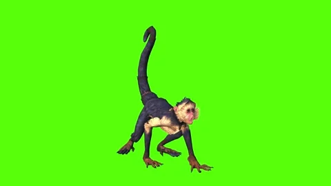 Monkey Death Green Screen Animation and ... | Stock Video | Pond5