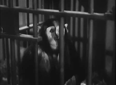 Slip Head Stock Videos – Royalty-Free HD & 4K Videos