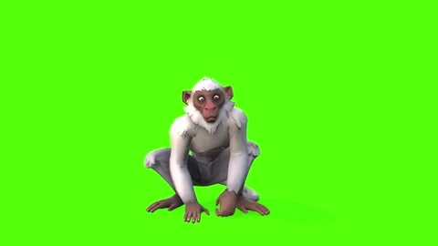 Monkey Sneezing Green Screen Animation 4... | Stock Video | Pond5