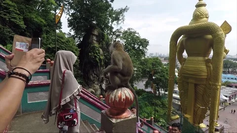Monkey on staircase to Main Temple cave,... | Stock Video | Pond5