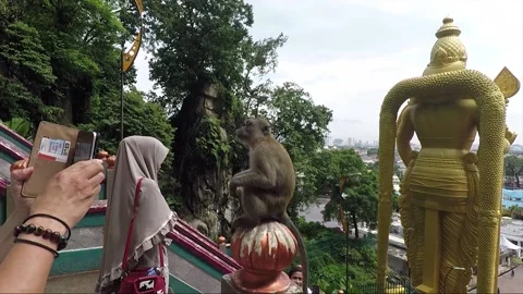 Monkey on staircase to Main Temple cave,... | Stock Video | Pond5