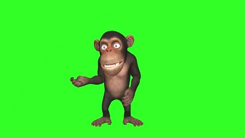 Monkey Green Screen Stock Footage ~ Royalty Free Stock Videos | Pond5