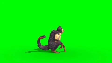 Monkey Turn Green Screen 3D Rendering An... | Stock Video | Pond5