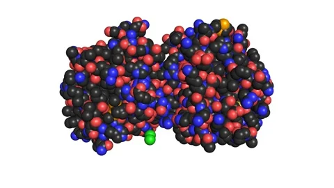 Monkeypox Virus Protein Crystal Structur... | Stock Video | Pond5