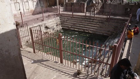 Monkeys on the stairs of Galtaji temple ... | Stock Video | Pond5