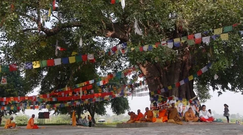 Monks under the Bodhi Tree,Lumbini,Nepal | Stock Video | Pond5