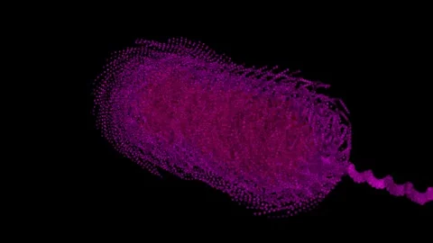 Monotrichous bacteria anatomy | Stock Video | Pond5