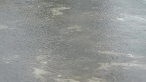 Monsoon Design Stock Footage ~ Royalty Free Stock Videos | Pond5