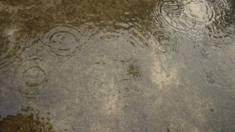 Monsoon Design Stock Footage ~ Royalty Free Stock Videos | Pond5