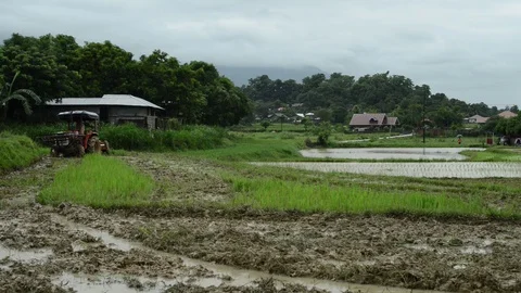 Monsoon Season in the Philippines offers... | Stock Video | Pond5