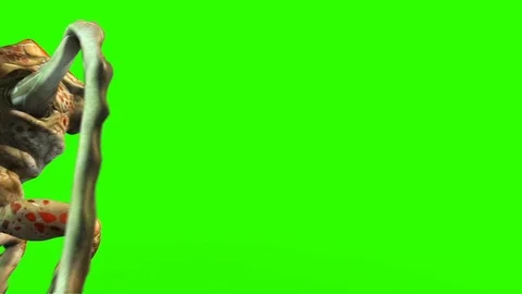 Monster Alien long Leg Walks Back 3D Ani... | Stock Video | Pond5