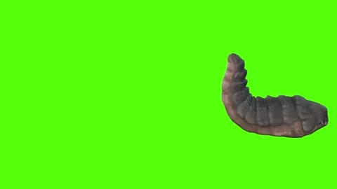 monster Bite Green Screen Animation 4k R... | Stock Video | Pond5