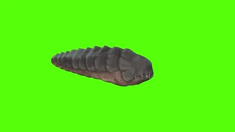 monster Idle Green Screen Animation 4k R... | Stock Video | Pond5