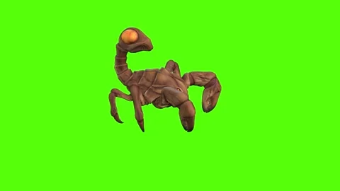 Monster Scorpion Getting hit Front Green... | Stock Video | Pond5