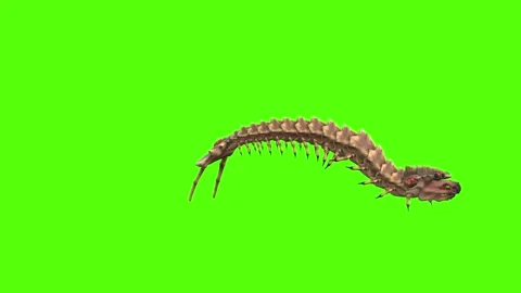Monster Worm Bite Forward Green Screen A... | Stock Video | Pond5