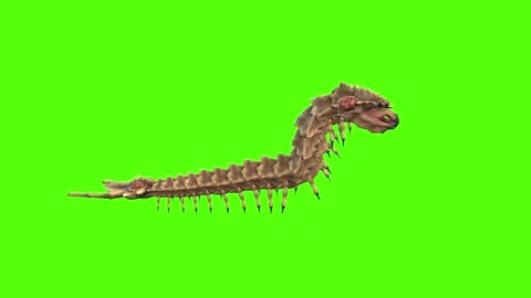 Monster Worm Bite Green Screen Animation... | Stock Video | Pond5