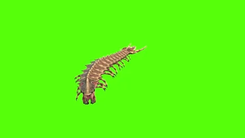 Animation Worm Stock Video Footage | Royalty Free Animation Worm Videos ...