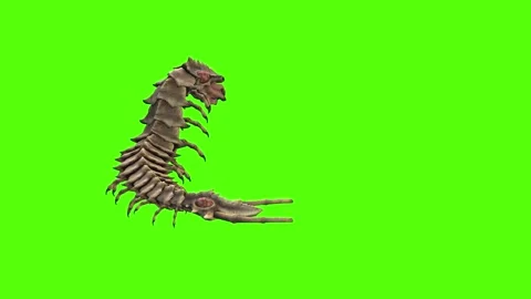Monster Worm Crawl Right Combat Mode Gre... | Stock Video | Pond5