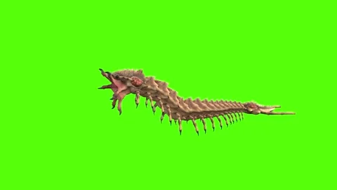 Animation Worm Stock Video Footage | Royalty Free Animation Worm Videos ...