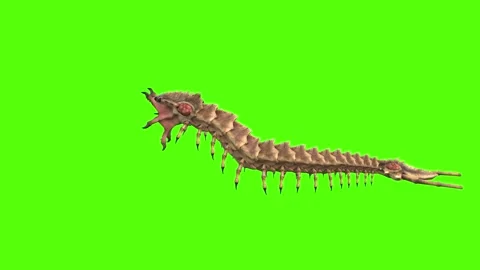 Animation Worm Stock Video Footage | Royalty Free Animation Worm Videos ...