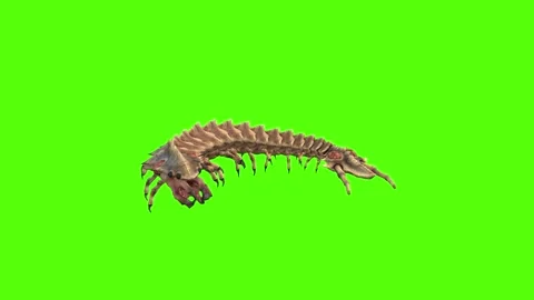 Monster Worm Turn left Green Screen Anim... | Stock Video | Pond5