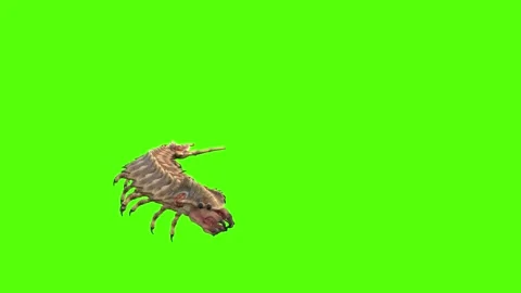 Monster Worm Turn left Wide Green Screen... | Stock Video | Pond5