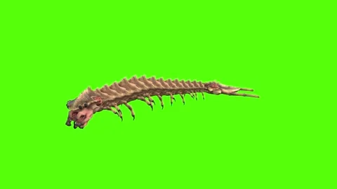 Monster Worm Turn left Wide Green Screen... | Stock Video | Pond5