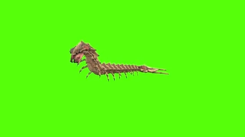 Animation Worm Stock Video Footage | Royalty Free Animation Worm Videos ...