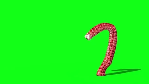 Animation Worm Stock Video Footage | Royalty Free Animation Worm Videos ...