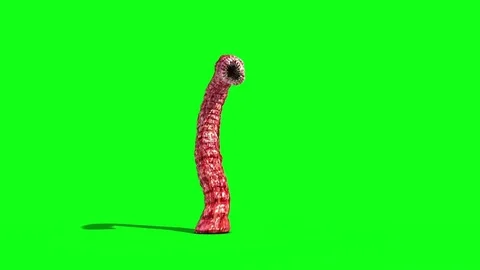 Animation Worm Stock Videos – Royalty-Free HD & 4K Videos