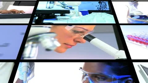 Research Montage Stock Video Footage | Royalty Free Research Montage ...