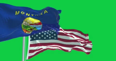 Montana state flags waving with the US f... | Stock Video | Pond5