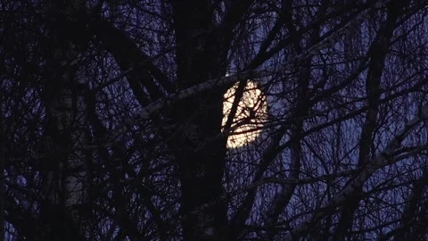 Moonlight Winter Stock Footage ~ Royalty Free Stock Videos | Pond5