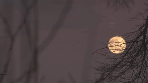 Moon going down in the night with tree b... | Stock Video | Pond5