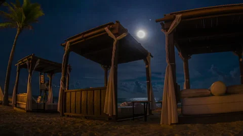 Romantic Moonlight Stock Videos – Royalty-Free HD & 4K Videos