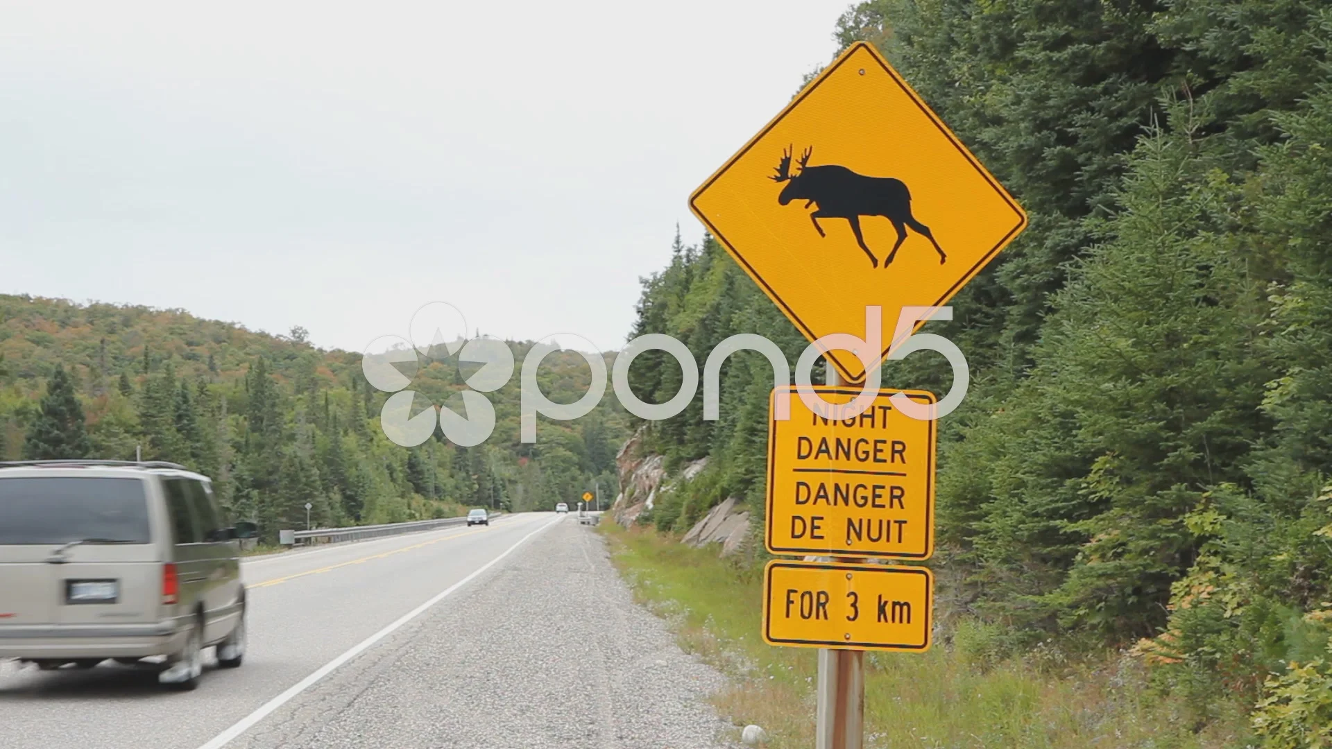Moose Sign Quebec