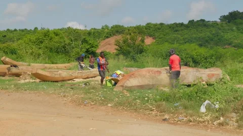 Group Of Carpenters Stock Videos – Royalty-Free HD & 4K Videos