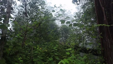 Loud Loud Song Stock Videos – Royalty-Free HD & 4K Videos