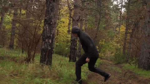 Run Through Forest Stock Video Footage | Royalty Free Run Through ...