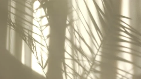 Lighting Room Background Stock Videos – Royalty-Free HD & 4K Videos | Pond5