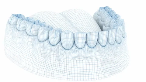 Morphology of mandibular human gum and t... | Stock Video | Pond5