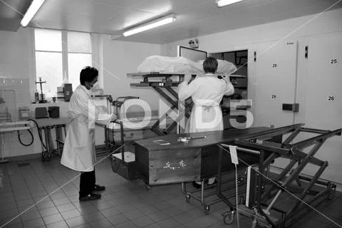 Mortuary room Hospital. Removal of the deceased of the low-temperature ...