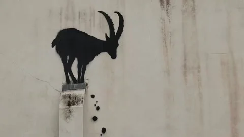 Most Recent At Stock Videos – Royalty-Free HD & 4K Videos