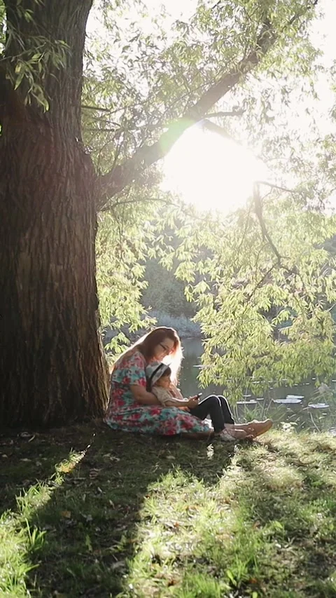 Shadow Under Tree Stock Video Footage | Royalty Free Shadow Under Tree ...
