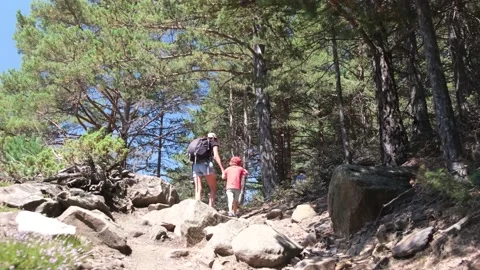 Mother and Boys Stock Videos – Royalty-Free HD & 4K Videos | Page 3