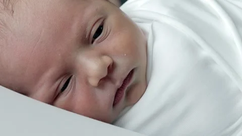 Hand In So Stock Videos – Royalty-Free HD & 4K Videos