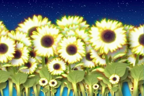 motion background with sunflower movemen... | Stock Video | Pond5