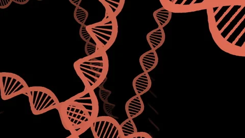 Motion graphic DNA color image in alpha ... | Stock Video | Pond5