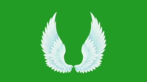 Green Screen Wings Stock Footage ~ Royalty Free Stock Videos | Pond5