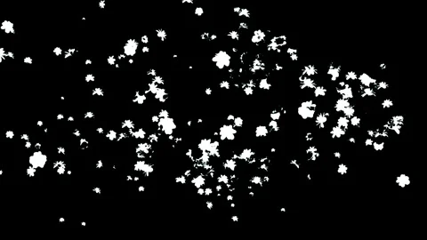 Motion graphics of flower design in alph... | Stock Video | Pond5